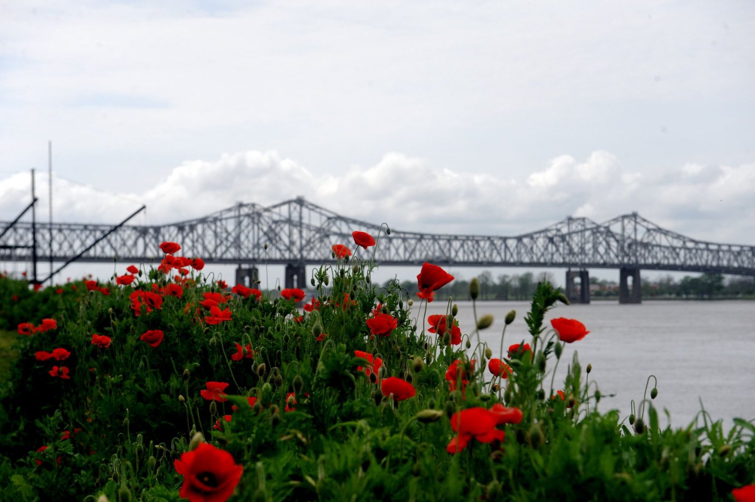 Explore African American History in Natchez | Visit Natchez