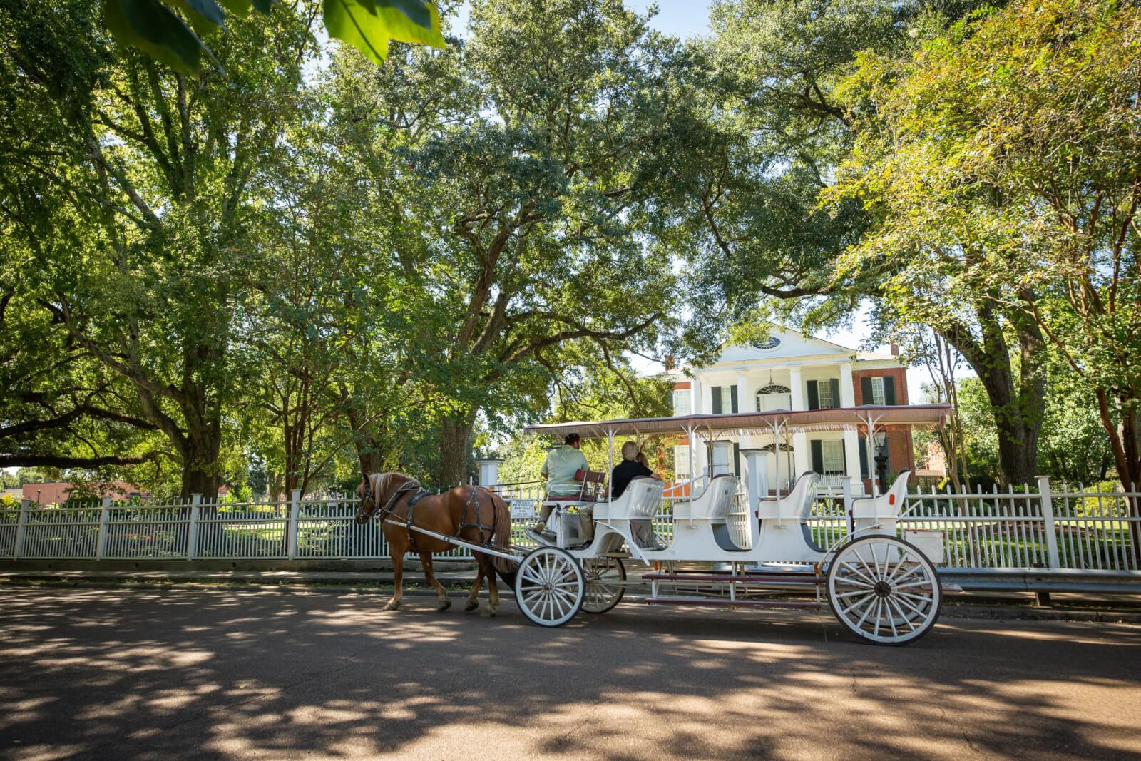 Southern Carriage Tours – Visit Natchez